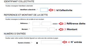 Tipi Budget Gouv Fr Payer En Ligne