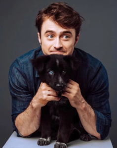 Daniel Radcliffe Taille