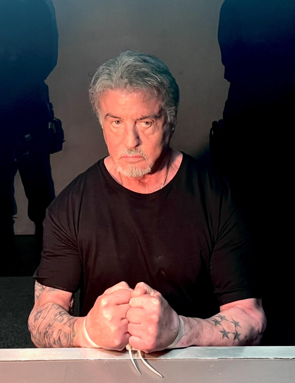 La transformation de Sylvester Stallone : toute la vérité sur ses ...